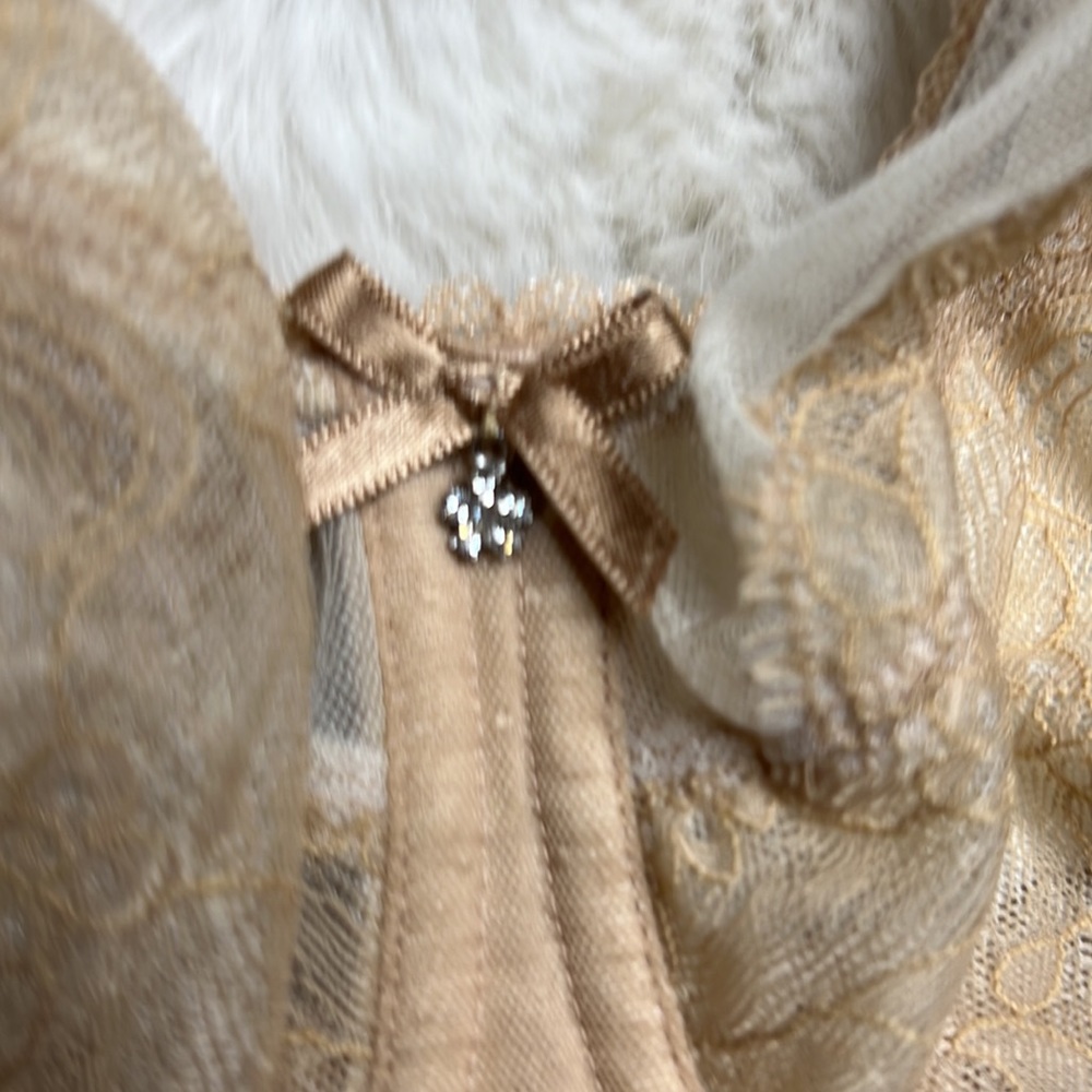 Wacoal Retro Chic Sheer Lace Underwire Bra 855186 38dd - Gem